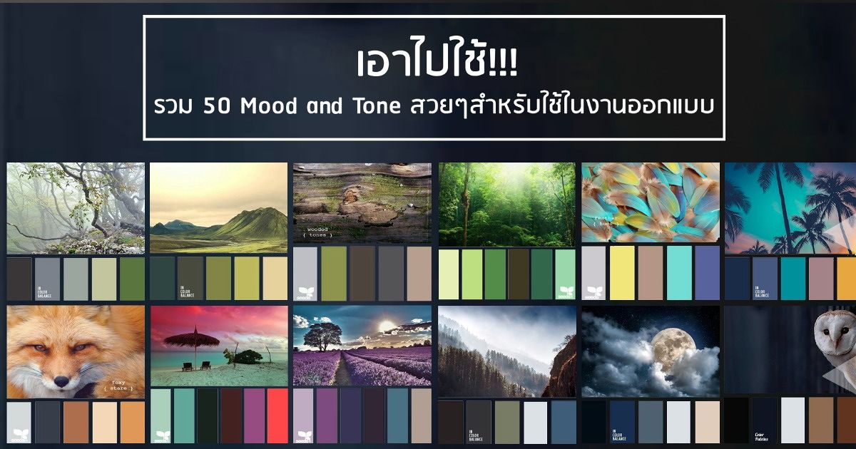 เอาไปใช้!!! รวม "50" Mood and Tone สวยๆสำหรับใช้ในงานออกแบบ | Wazzadu