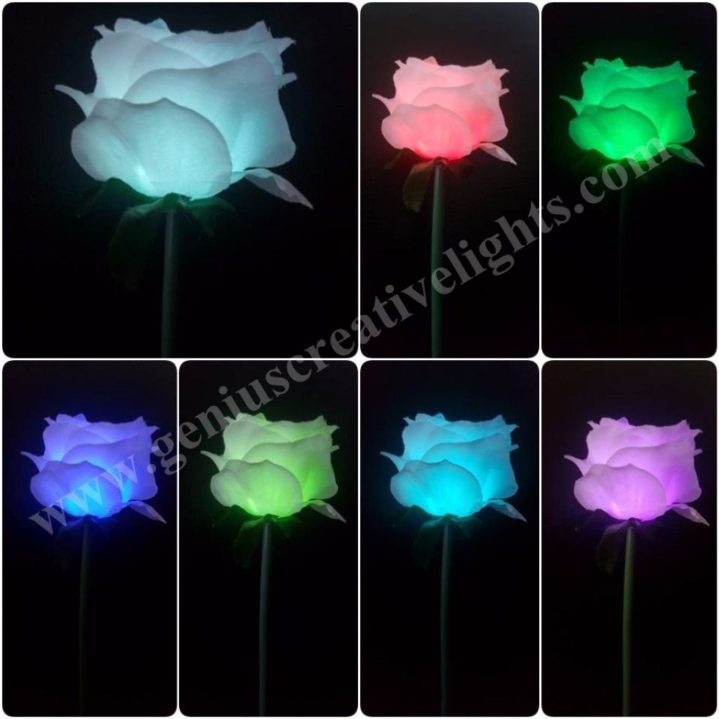 LED Rose(กุหลาบ LED) - บริษัท จีเนียส ครีเอทีฟไลท์ จำกัด | Wazzadu