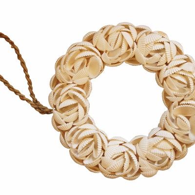 Hanging Shell - bkk showroom | Wazzadu